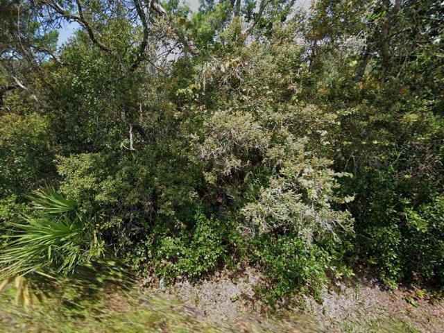 755 S Cedar Ave, Orange City, FL 32763 | MLS #A4682 | Compass