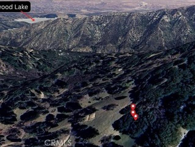 756 Mojave River Rd, Cedarpines Park, CA 92322