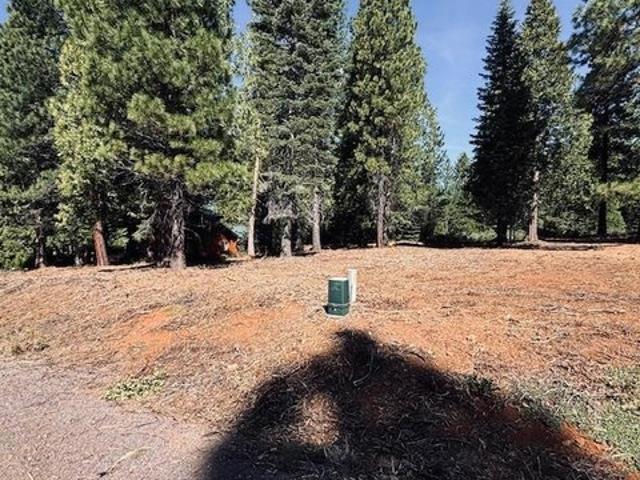 758 Red River Dr, Lake Almanor, CA 96137
