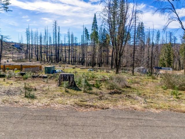 7591 Winding Way, Grizzly Flats, CA 95636 | MLS #226029