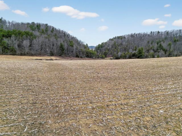 75.01 AC Widener Valley Rd