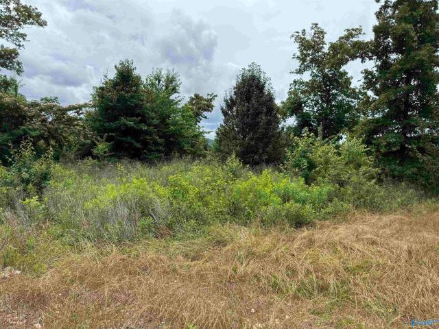 75 Vista Trail