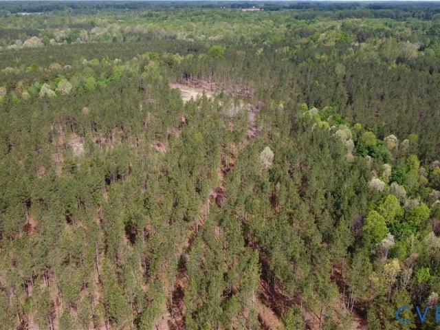 75 acres Winningham Rd, Crewe, VA 23930 | MLS #2609 | Compass