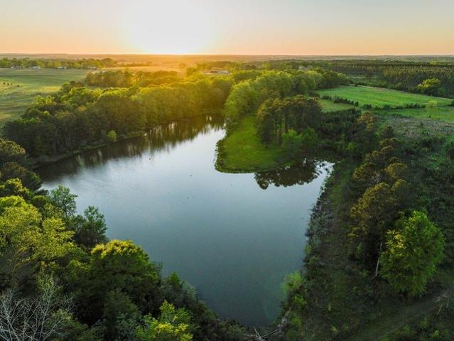 75 Acres County Road 625, Coffee Springs, AL 36318