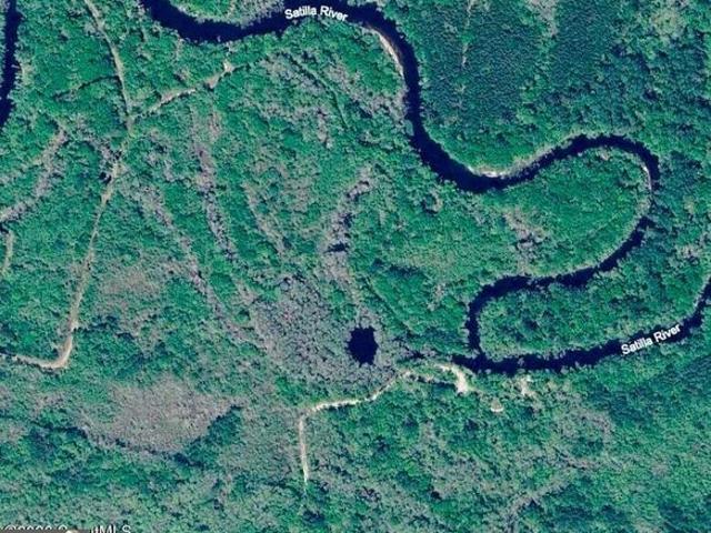 75 Acres Lewis Lndg, Nahunta, GA 31553