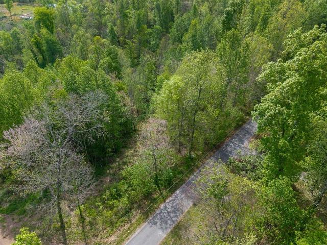 75 Backbone Rd