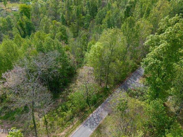 75 Backbone Rd