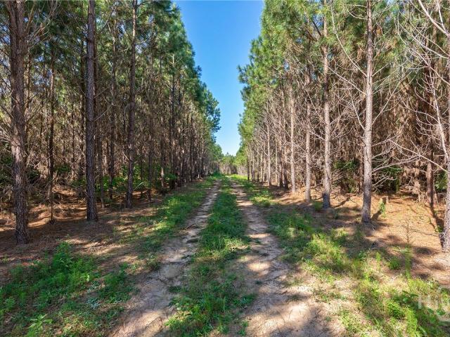 75 Bob Smith Road