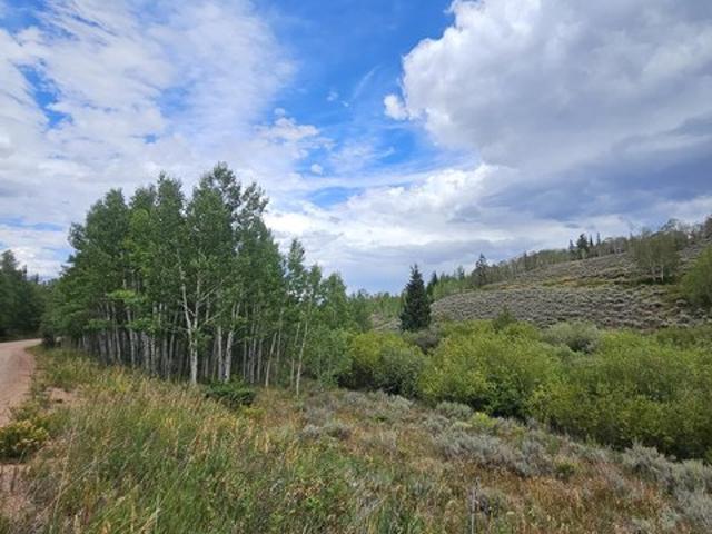 75 County Road 1932, Kremmling, CO 80459