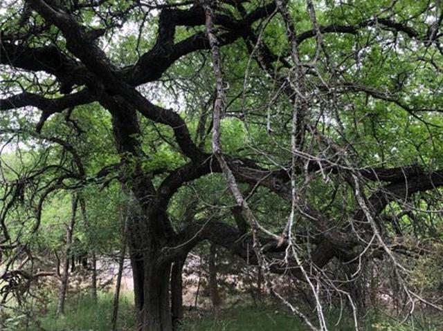 75 E Valley Spring Rd, Wimberley, TX 78676 | MLS #2336