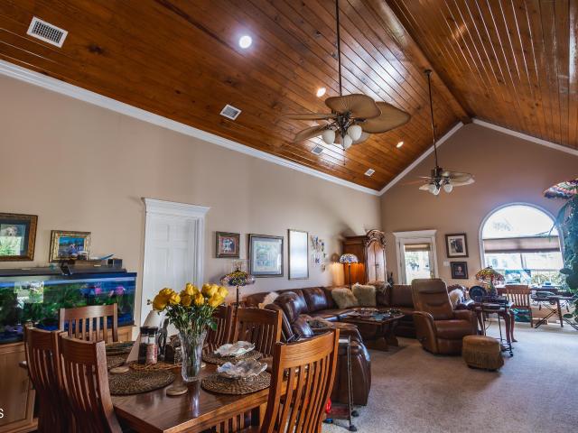 75 Golden Pines