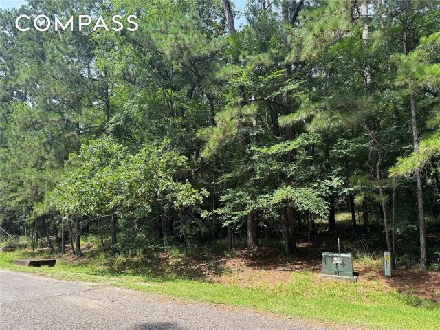 75 Green Tree Dr, Coldspring, TX