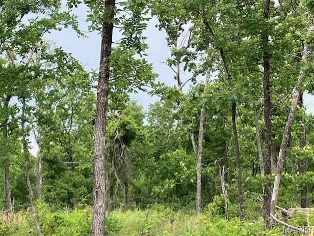 75 Madison County Road 410, Fredericktown, MO 63645