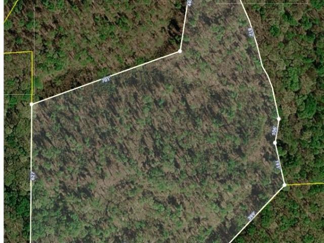 75 Overlook Trail, Stewart, TN 37175 | MLS #3158 | Compass