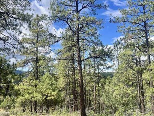 75 Rock Ridge Ct # 2, Pagosa Springs, CO 81147