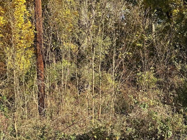 75 Rothwell Ave, Martinsburg, WV 25404 | MLS #WVBE2045
