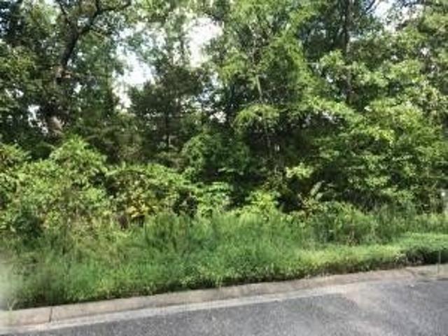 75 Skylee Dr, Hollister, MO 65672