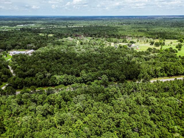 75 State Highway 75 N, Huntsville, TX 77320 | MLS #11965