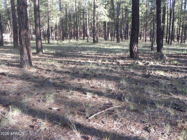 7606 E Jolly Rogue Ln Unit 162, Williams, AZ 86046