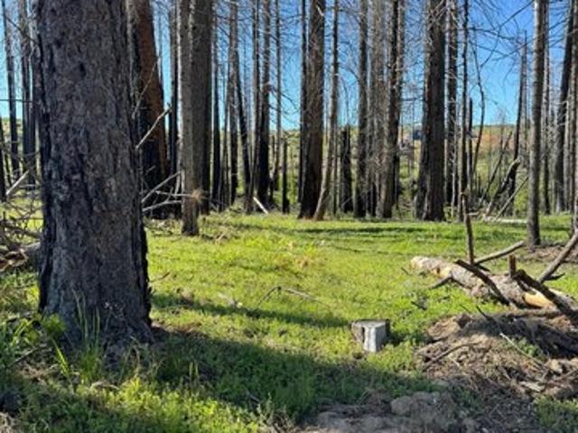 7601 Forest Glen Dr, Grizzly Flats, CA 95636