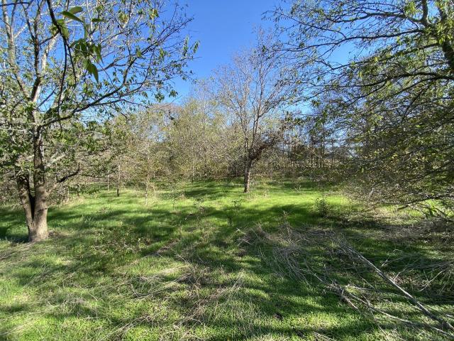 7603 Timber Hills Dr