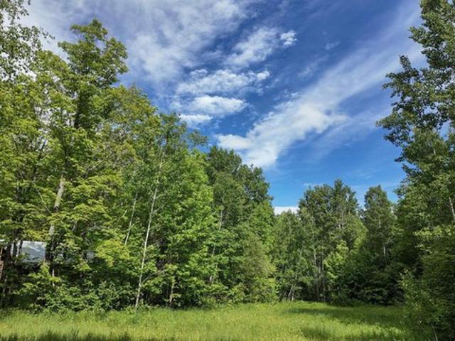 760 Caspers Hill Rd, Grand Marais, MN 55604