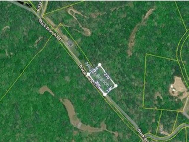 760 Black Branch Rd, Del Rio, TN 37727