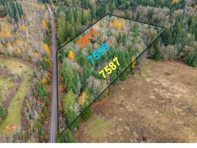 7611 Bobcat Ln, Maple Falls, WA 98266