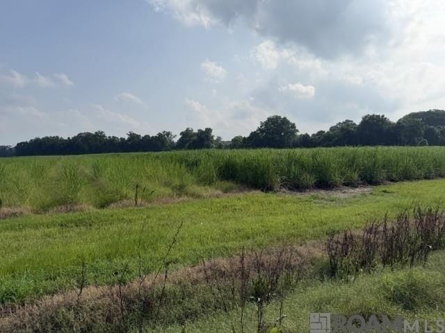 7625 False River Rd, Oscar, LA 70762