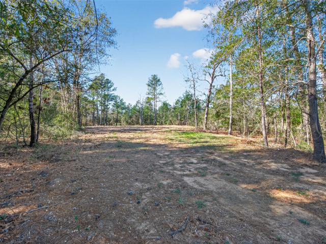 7629 Trinity Pines Drive