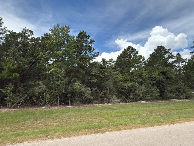 7621 Trinity Pines Dr