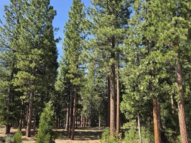 762 Blacktail Rdg Lot 46, Portola, CA 96122