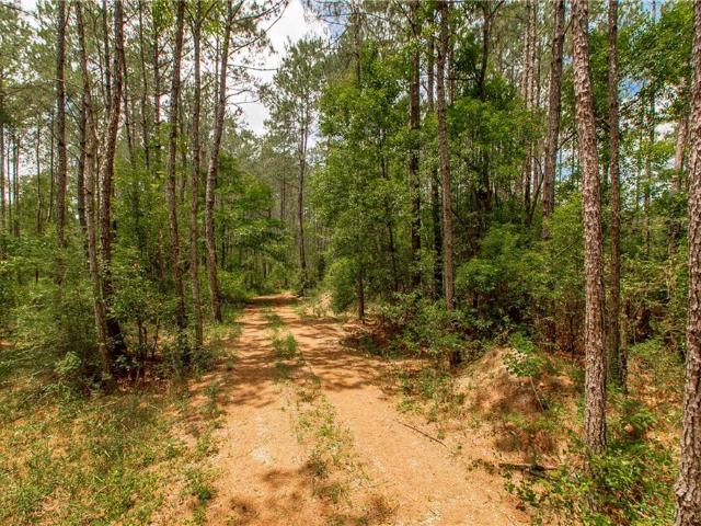 76317 Bob Levy Road