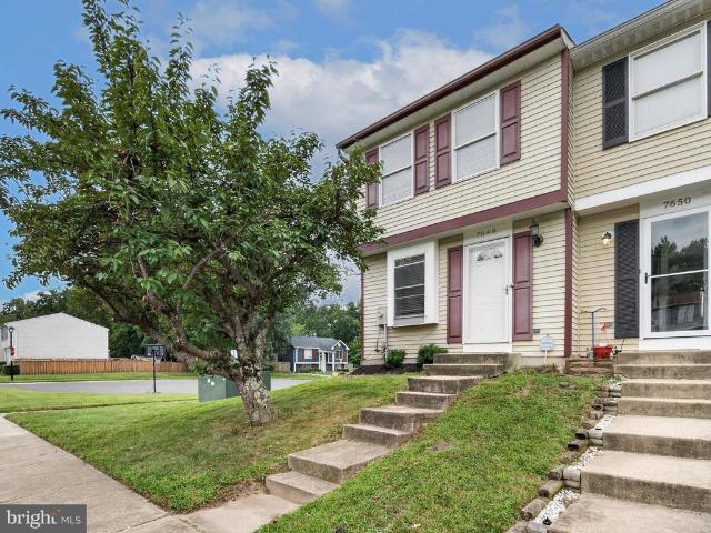 7648 Fairbanks Court