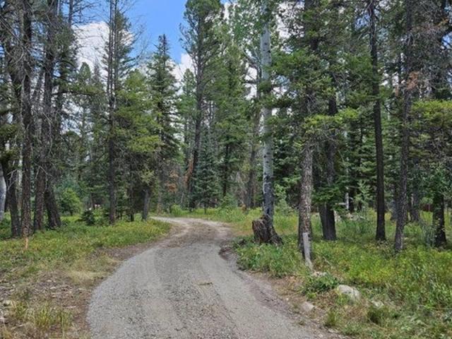 764 Deer Trail Rd, Cimarron, CO 81220