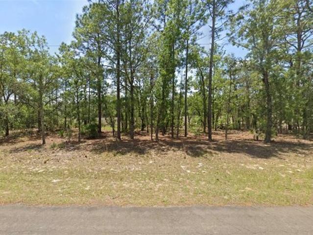 764 W Glenhaven Dr, Dunnellon, FL 34434