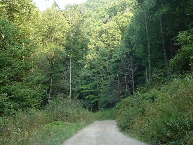 7656 Little Snowbird Road