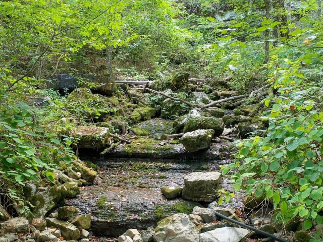 7659 Burks Rd, Christiana, TN 37037 | MLS #3181