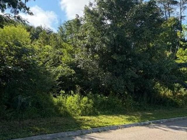7659 Pennyroyal Dr, Knoxville, TN 37920