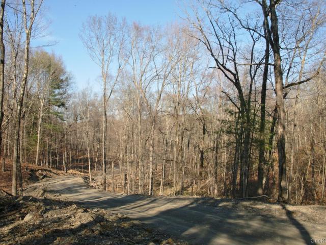 765 Academy Hill Rd, Red Hook, NY 12571 | MLS #987031