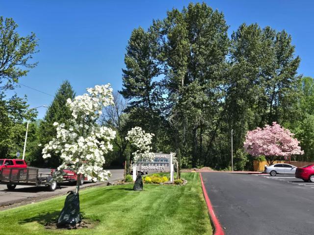 #765 ALDERBROOK APARTMENTS