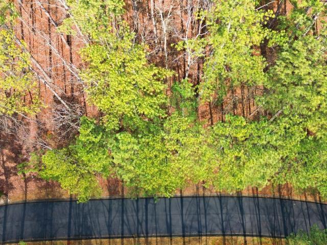 765 Plum Lane LOT 765