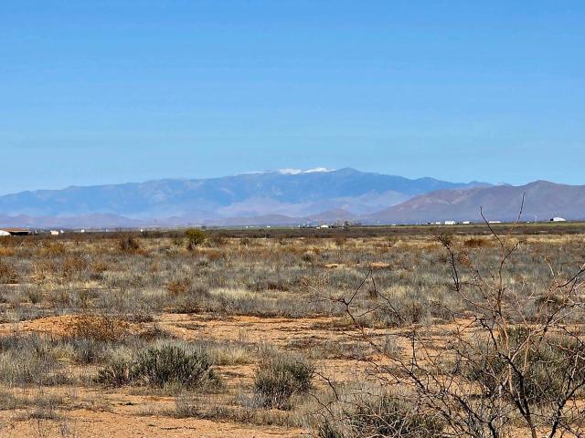 7668 Bear Track Trail, Unit 195, Willcox, AZ 85643 | MLS #6978