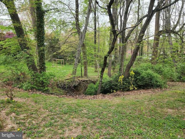 7669 Long Pine Dr, Springfield, VA 22151 | MLS #VAFX2300