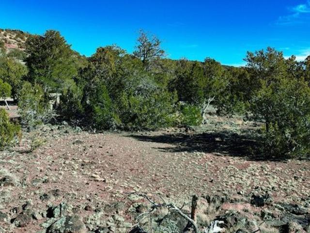 766 E Hualpai Trl, Williams, AZ 86046