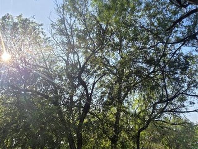 766 Rawhide Rd, Seguin, TX 78155