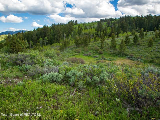7675 Highway 89, Jackson, WY 83001 | MLS #26 29