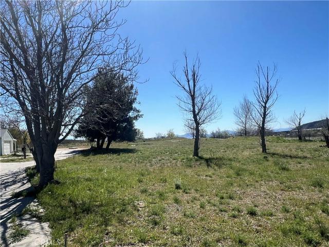 7677 Cable Canyon Road, San Bernardino, US, CA