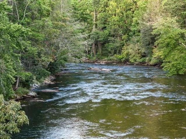 767 River Ridge Road, Blue Ridge, GA 30513