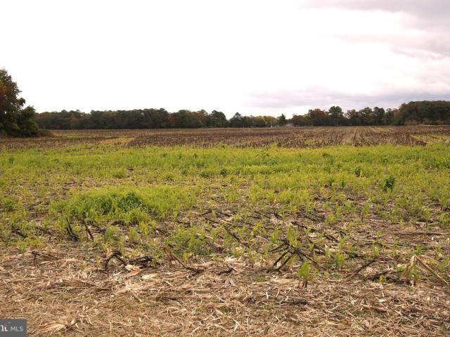 7685 n union church rd, milford, us, de